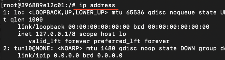 【Linux】ipコマンドが使えない!？iproute2をインストールする方法解説 | Linux・ネットワークの学習サイトInfraAcademy(インフラアカデミー)